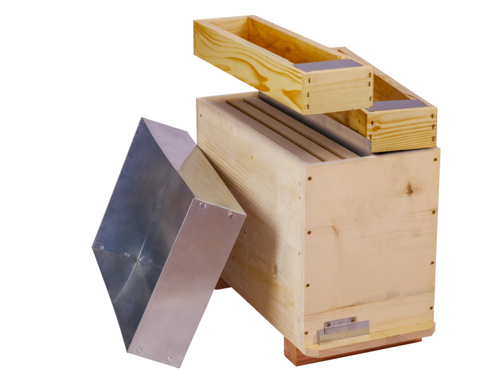 STANDARD IT 1/1 DADANT FRAME