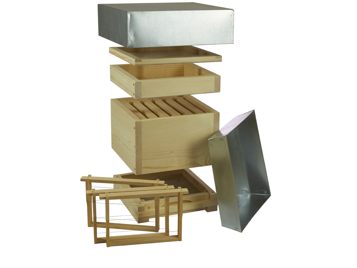 MINIPLUS FECUNDATION HIVE DE MODEL